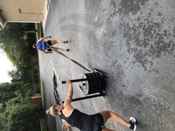 Department of homeland security chicago global entry login - nasadwheels