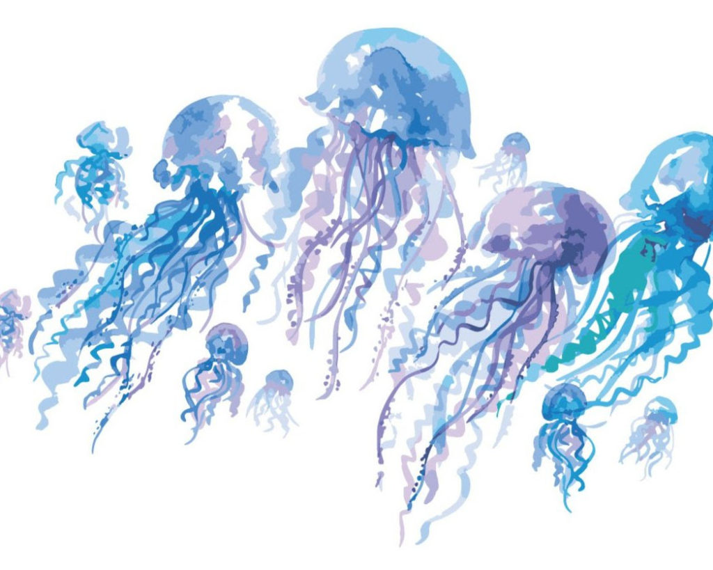 Under the Sea Watercolor Painting | Frederick County YMCA