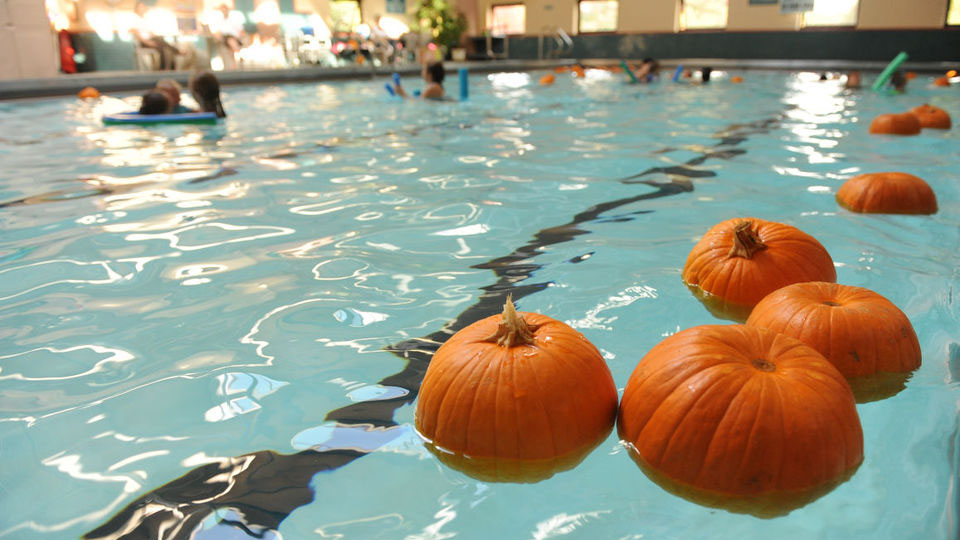 Floating Pumpkin Patch | Knoxville YMCA