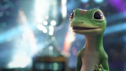 Geico (Commercial) on Zerply