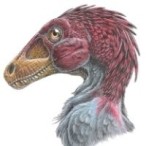 Jonathan Block - Generalist