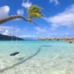 Michael Halley - Animator