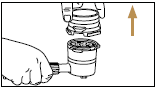 Brew