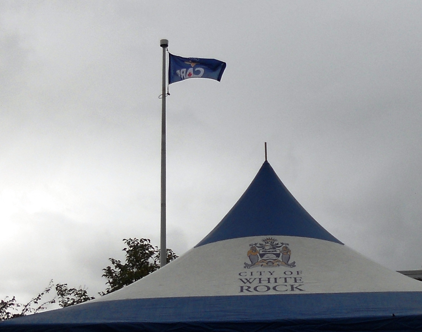 CARP Raised Flags and Awareness on National Seniors Day - CARP