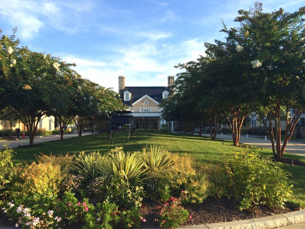 Salamander Resort and Spa, Middleburg Virginia - CARP