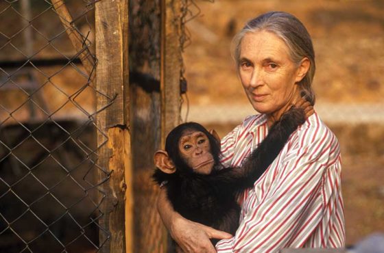Being Jane Goodall: How the Conservation Advocate Continues to Make a ...