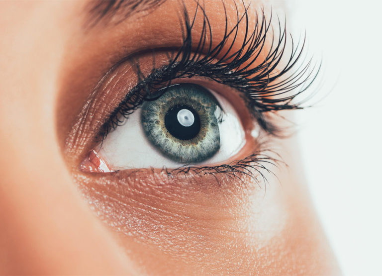 How Does The Human Eye Work Everything Zoomer How Does The Human Eye Work Everything Zoomer
