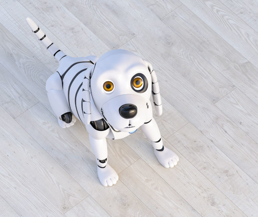 Robopets: Using Technology to Monitor Older Adults Raises Privacy ...