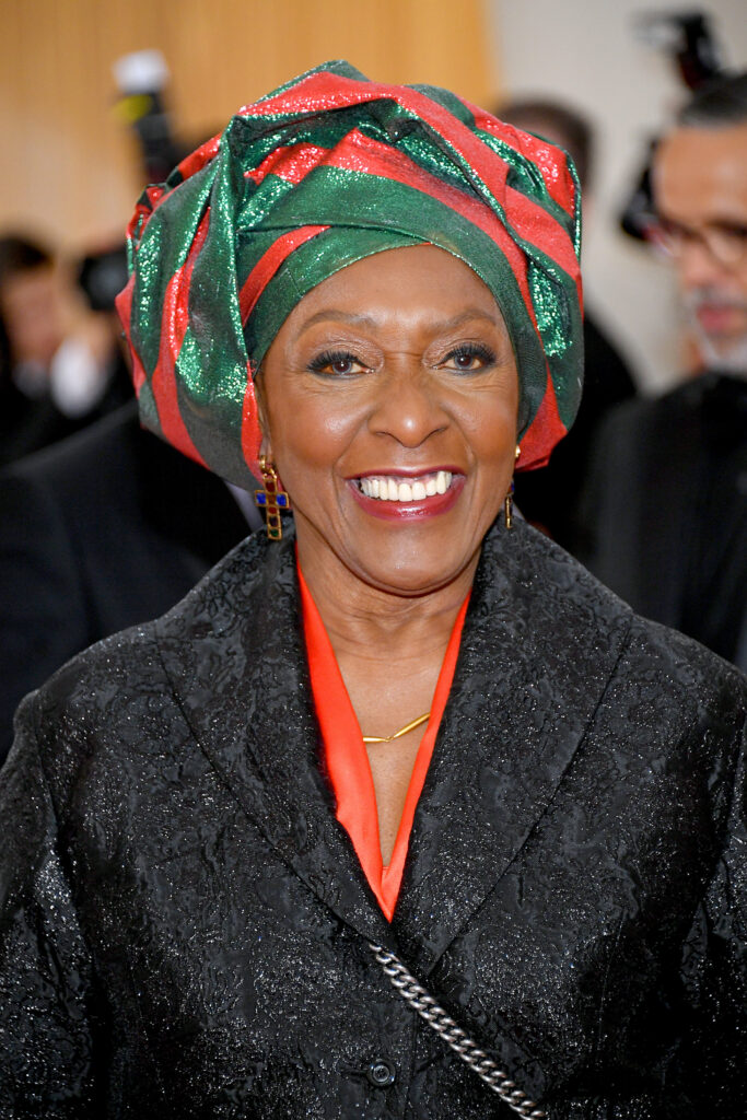 ‘Invisible Beauty’: Fashion Icon and Industry Disrupter Bethann ...