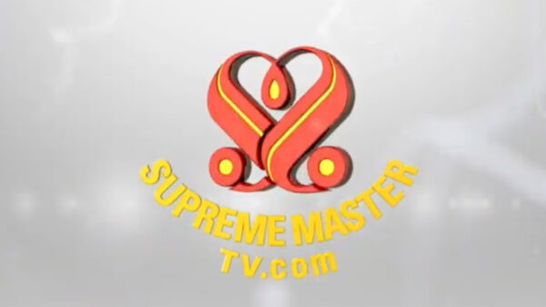 The Supreme Master Television Show - FaithTVFaithTV