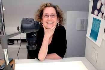 Felice Frankel | ideacity