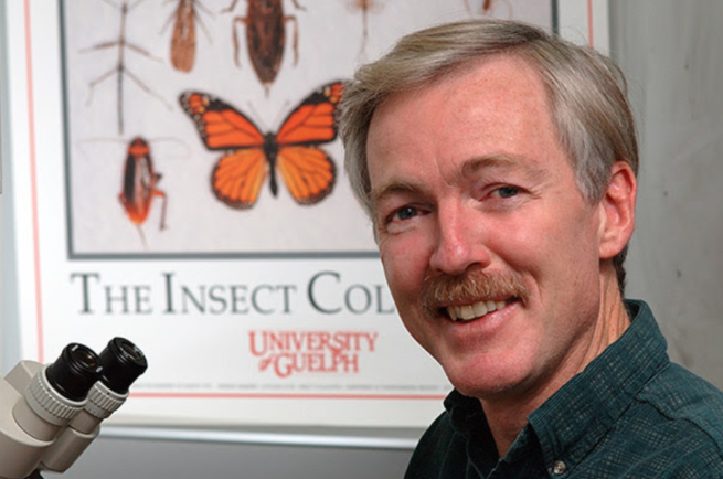 Stephen Marshall – The Biodiversity of Insects | ideacity