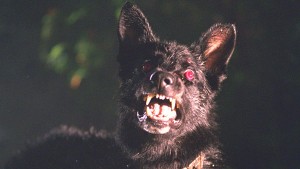 The Hound of the Baskervilles - VisionTV