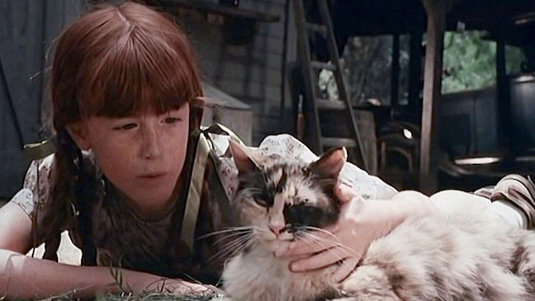 Q&A: Waltons Actress Kami Cotler on Acting & Her Rewarding New Life ...