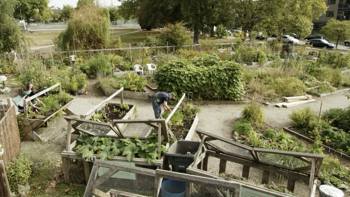 Q&A: Ageless Gardens - Embracing Adaptive Gardening - VisionTV