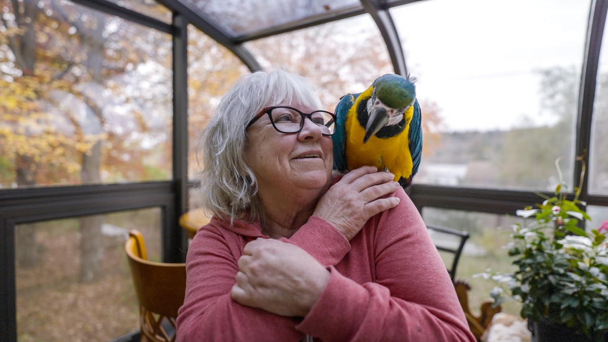 New Docu-series Creature Comfort Explores How Pets Help Us Age Better ...