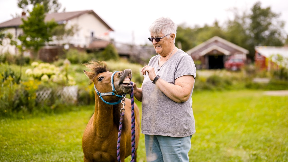 New Docu-series Creature Comfort Explores How Pets Help Us Age Better ...
