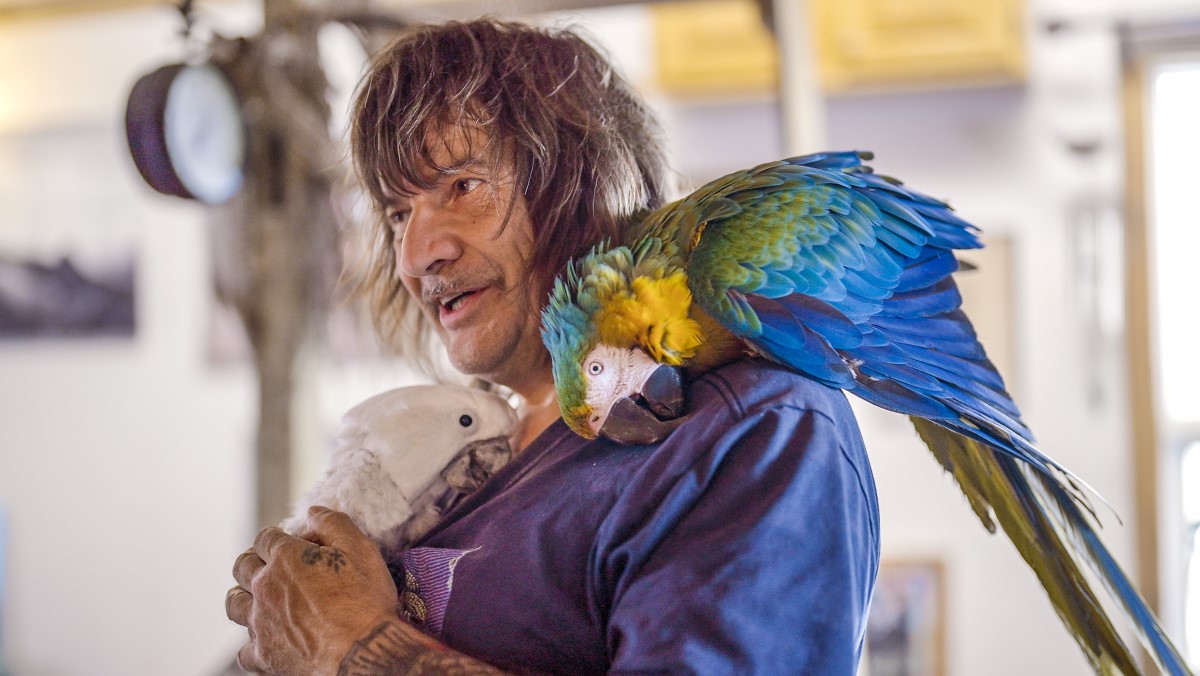 New Docu-series Creature Comfort Explores How Pets Help Us Age Better ...