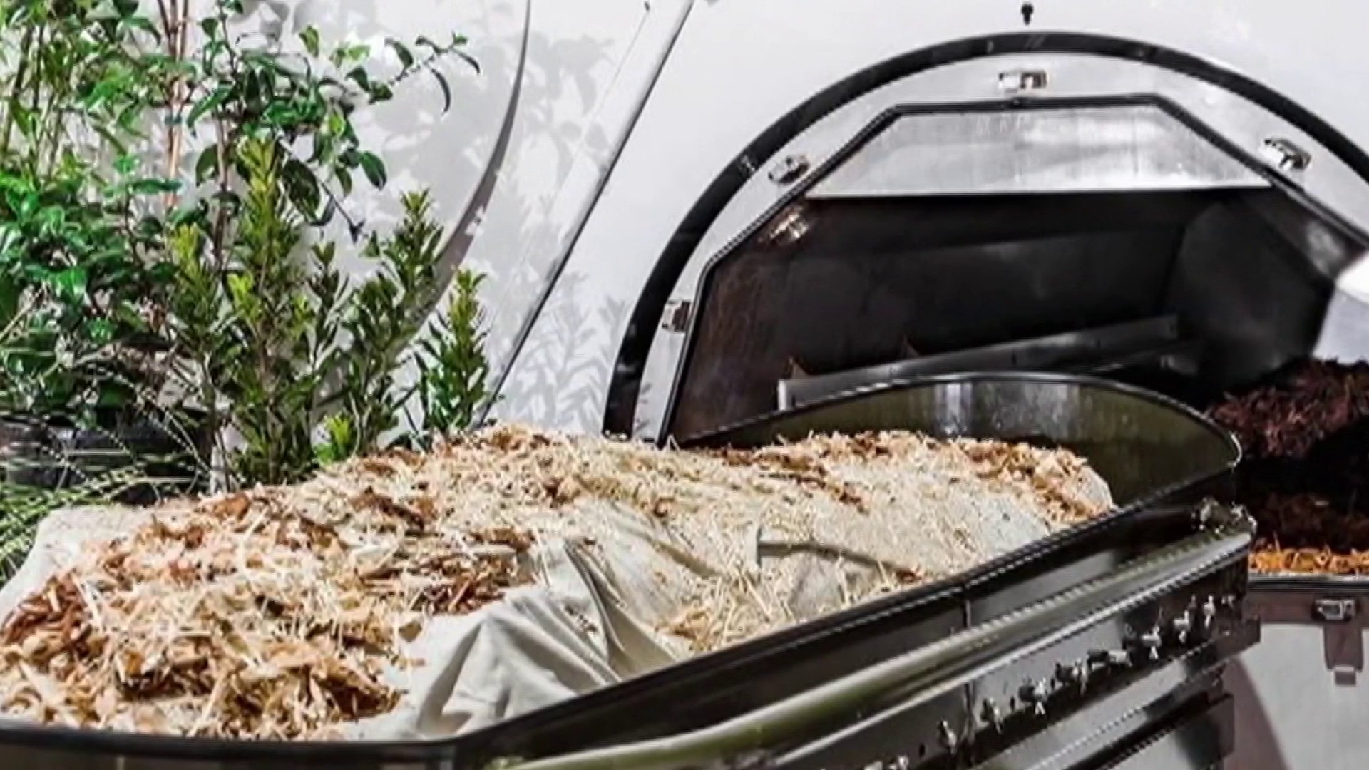 NEW YORK GREENLIGHTS HUMAN COMPOSTING LAW