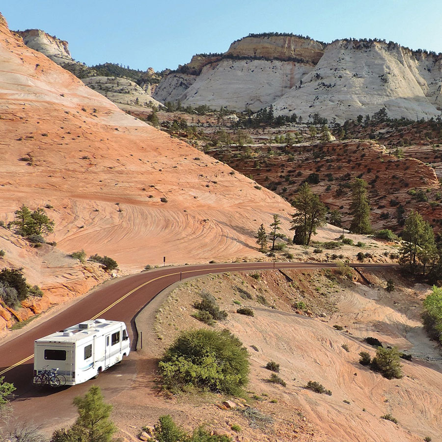 Antonia Whyatt from Zoomer Magazine joins The Morning Zoom with Sam ...